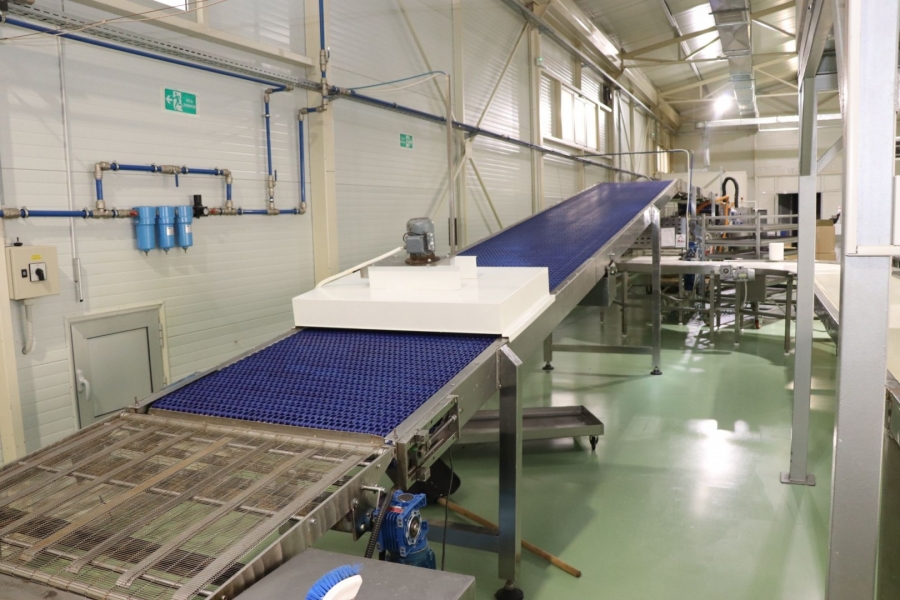 2016 OMIDI COMPLETE LINE FOR ROLLED CAKE | Food industry equipment | 1355